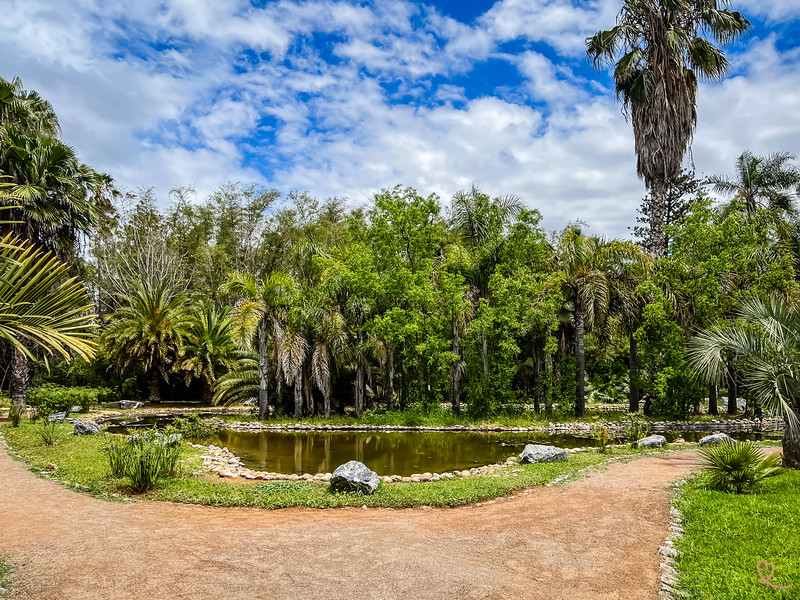 Jardin d'essais botaniques (Rabat): visite + photos
